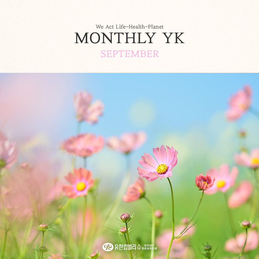 유한킴벌리>월간 YK, 9월 호📬>SNS>뉴스